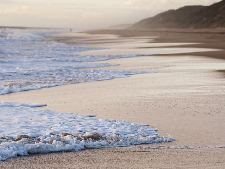 Where The Ocean Meets The Land – feathersandwings